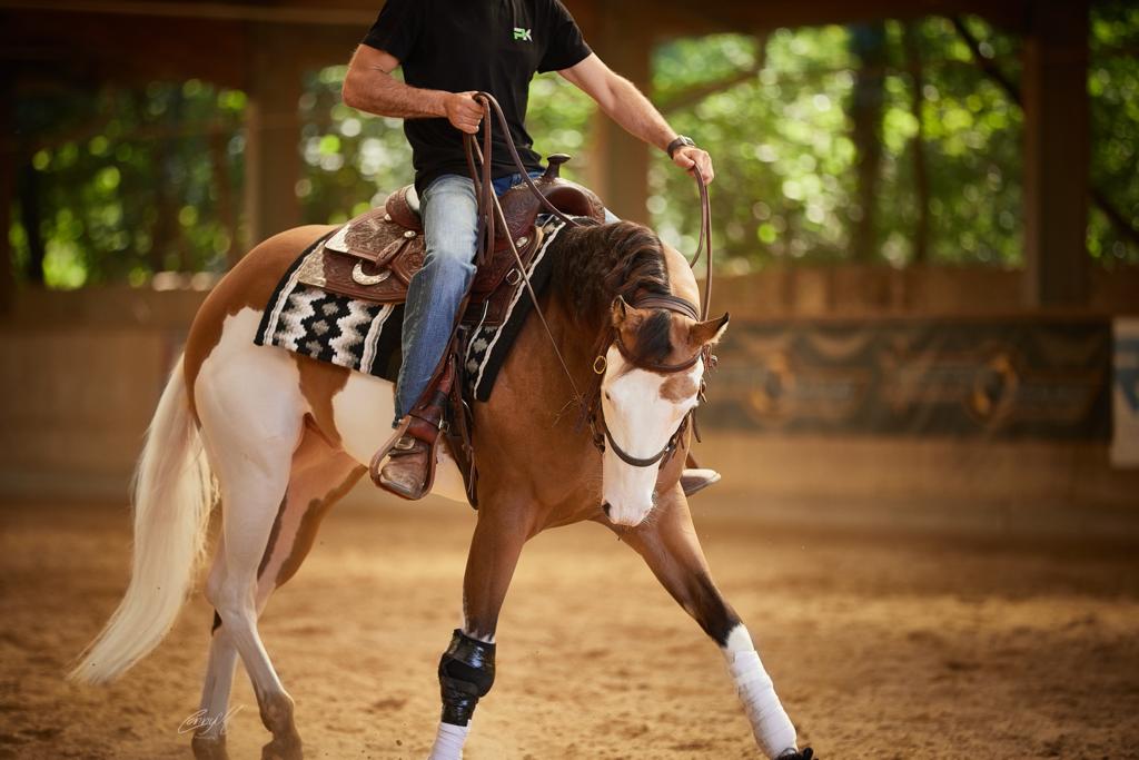 PK Performance Horses - Training, showing and starting of reining horses