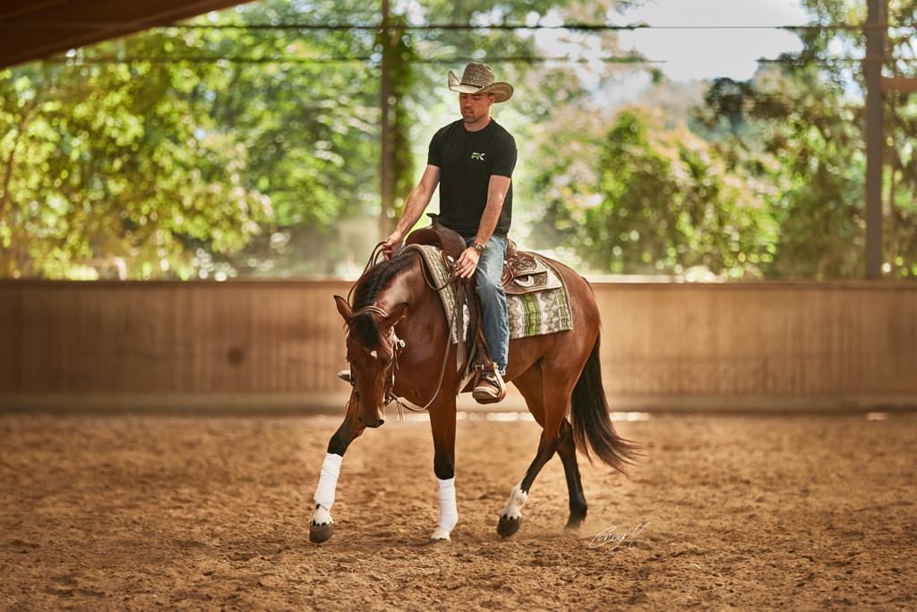 PK Performance Horses - Training, Showing und Vorbereitung von Reining ...